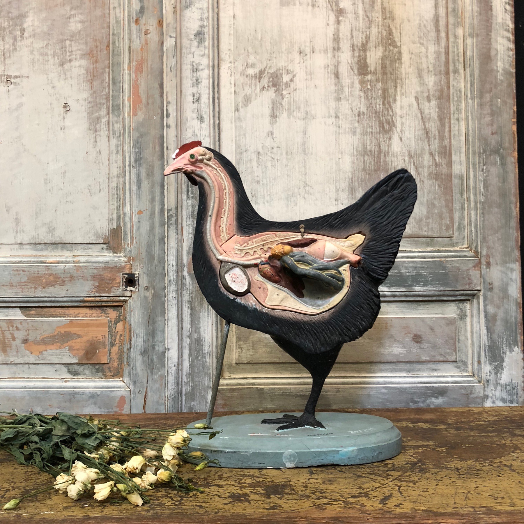 plaster hen – Objet Vagabond