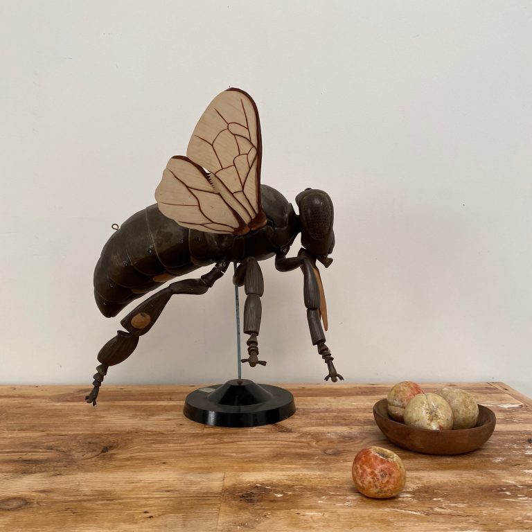 fly skin statue – Objet Vagabond
