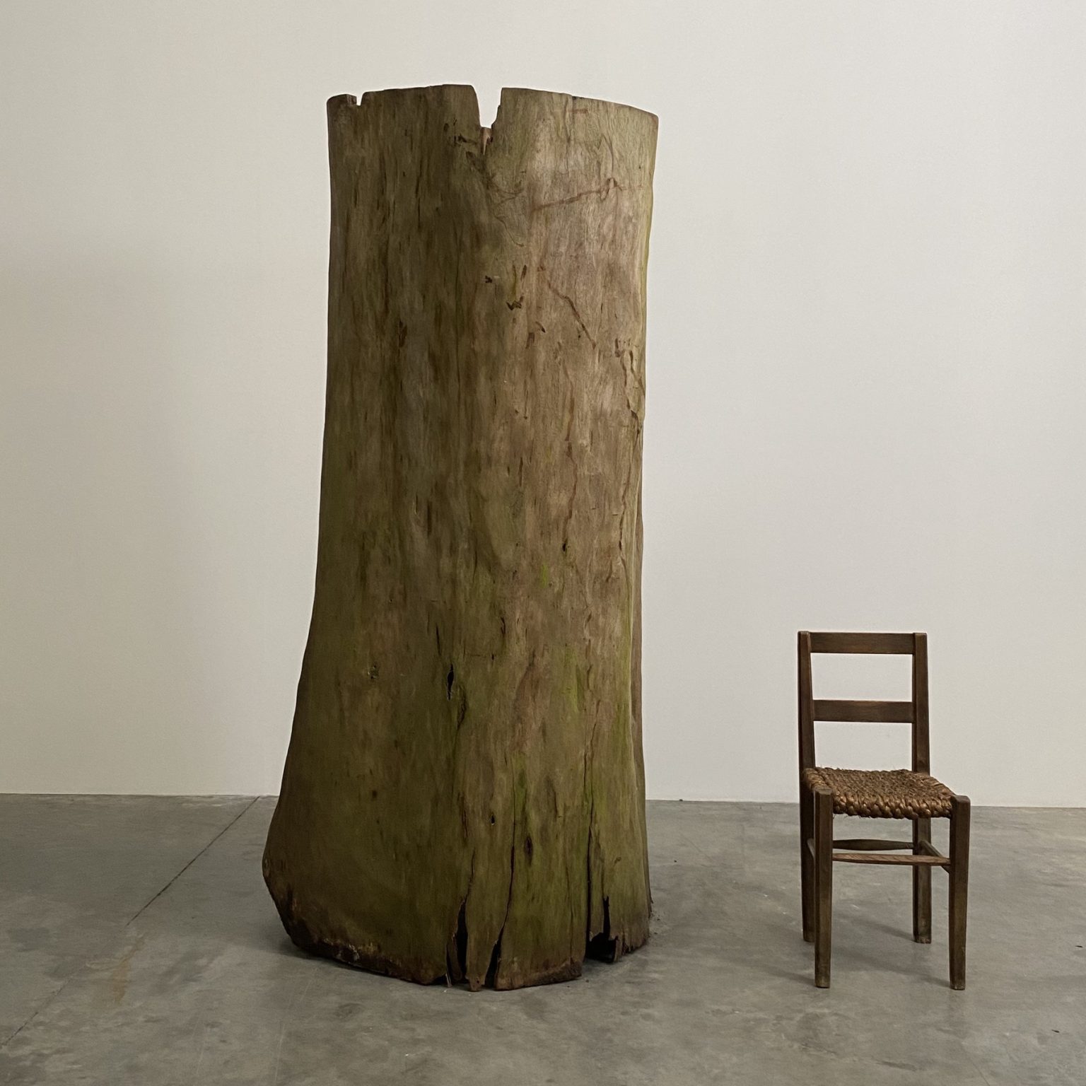 empty tree – Objet Vagabond