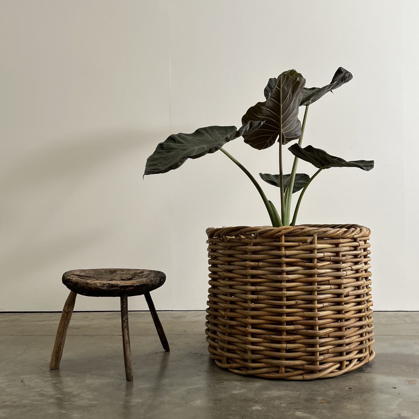 large rattan vase – Objet Vagabond