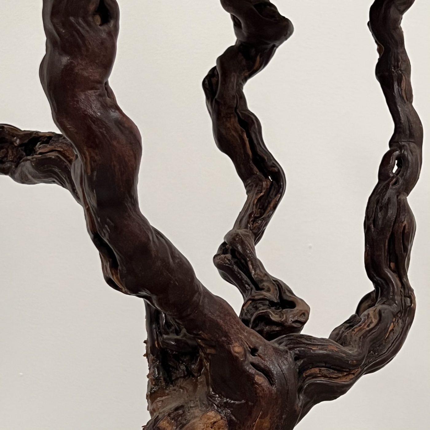 root pedestal table – Objet Vagabond