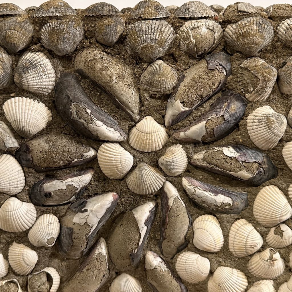 shell planters – Objet Vagabond