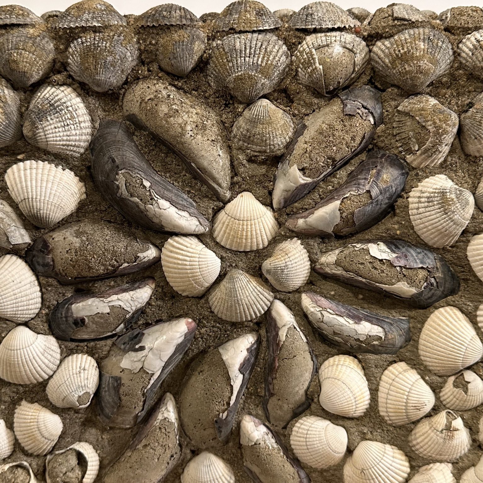 shell planters – Objet Vagabond