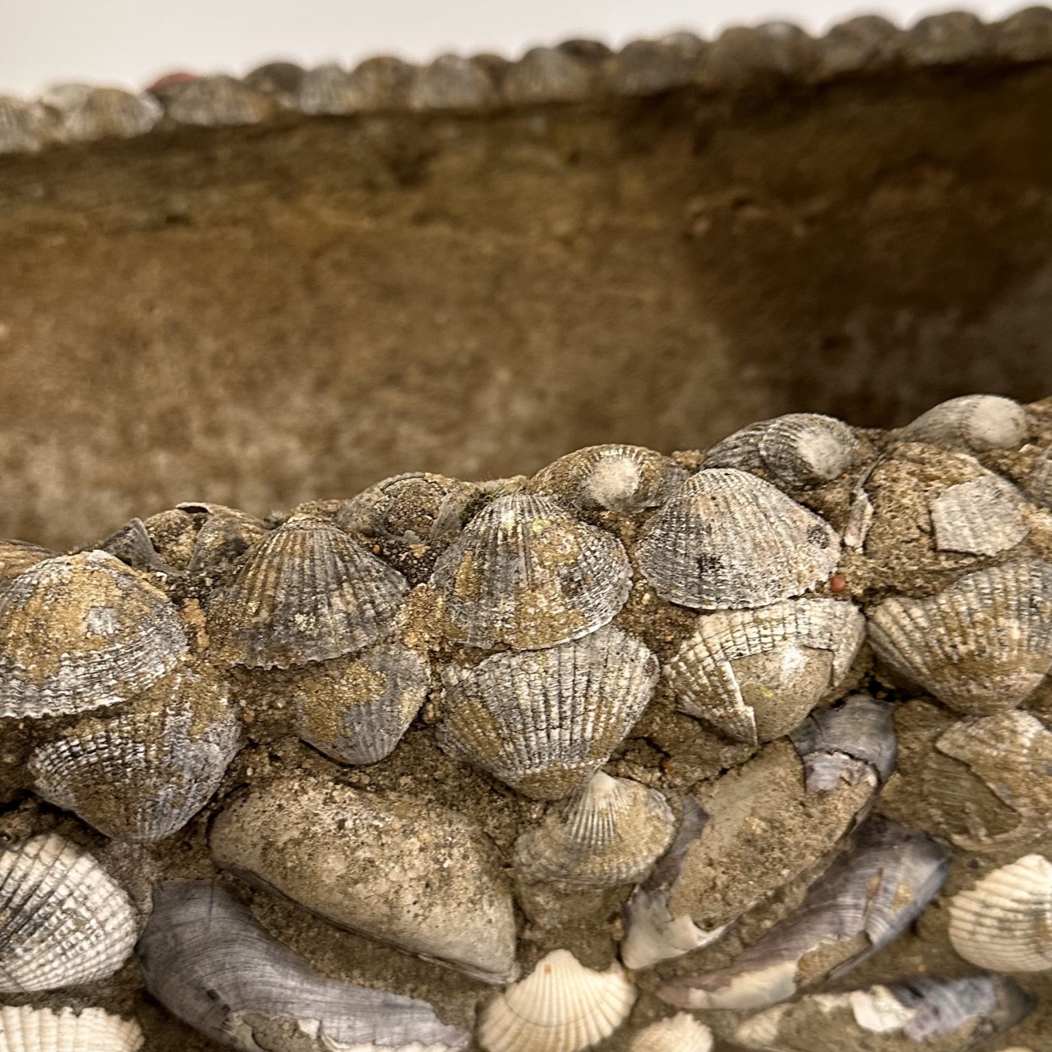 shell planters – Objet Vagabond